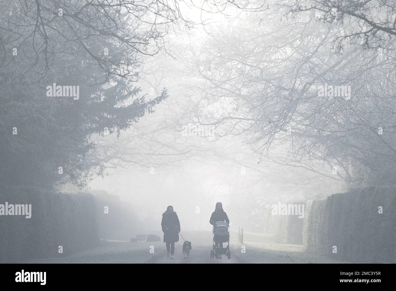 Whatton-in-the-Vale, Nottinghamshire, UK. 21st Jan 2023. Dog walkers in ...