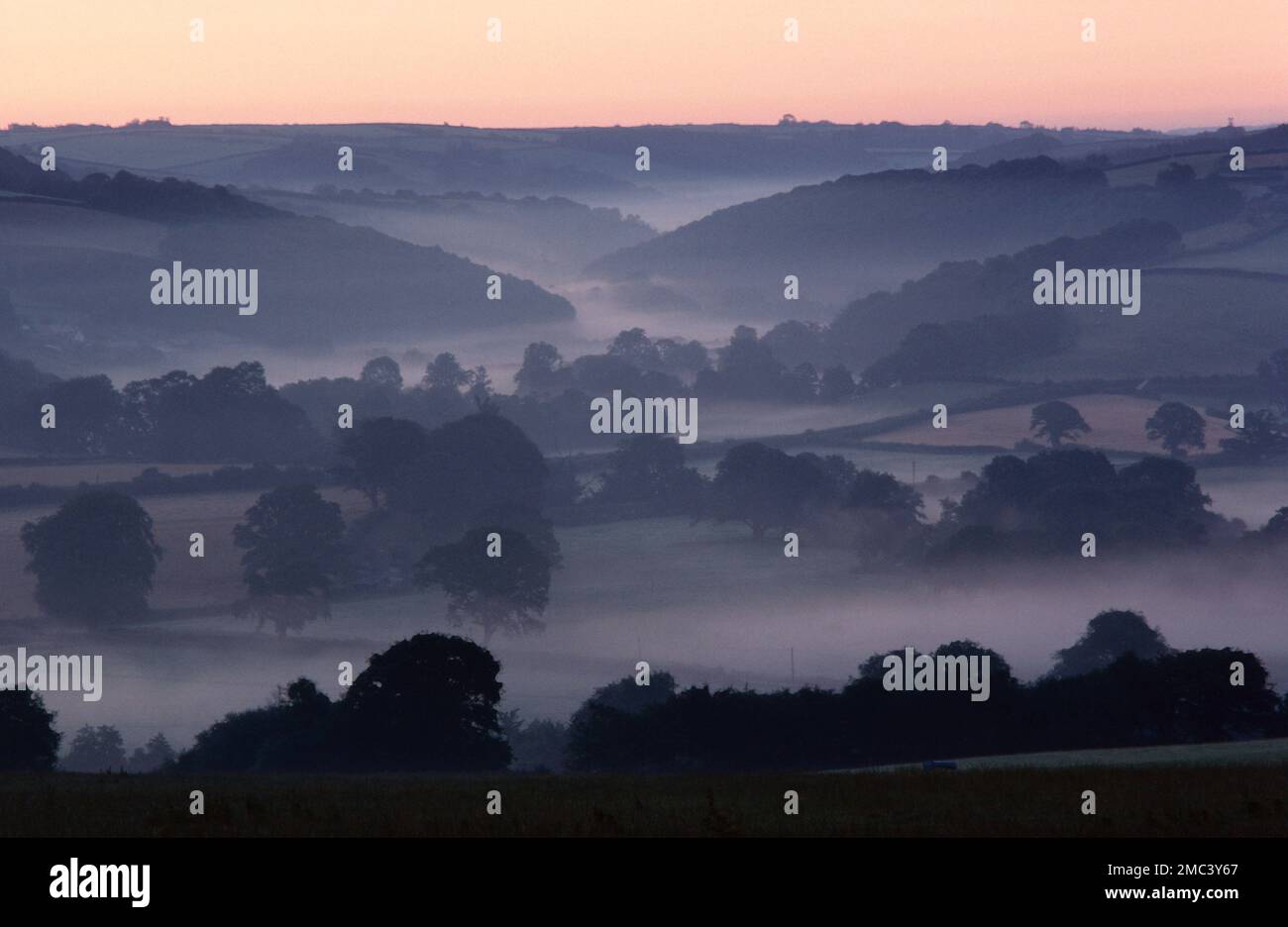 Dawn in the Taw Valley, Devon, UK Stock Photo - Alamy