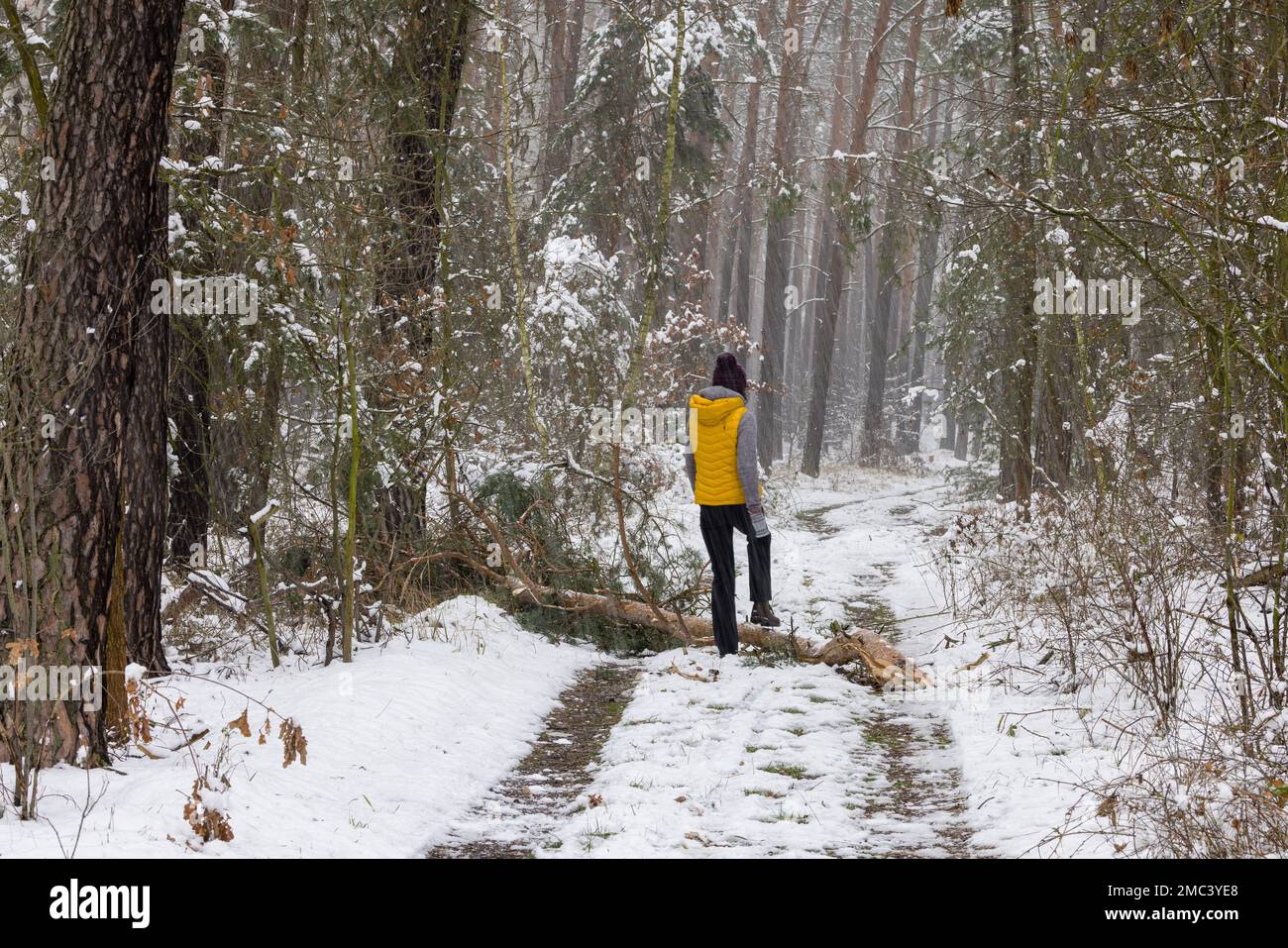 Walkking in the snow hi-res stock photography and images - Alamy