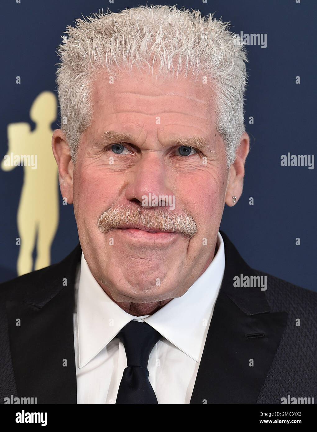 Ron Perlman arrives at the 28th annual Screen Actors Guild Awards at ...