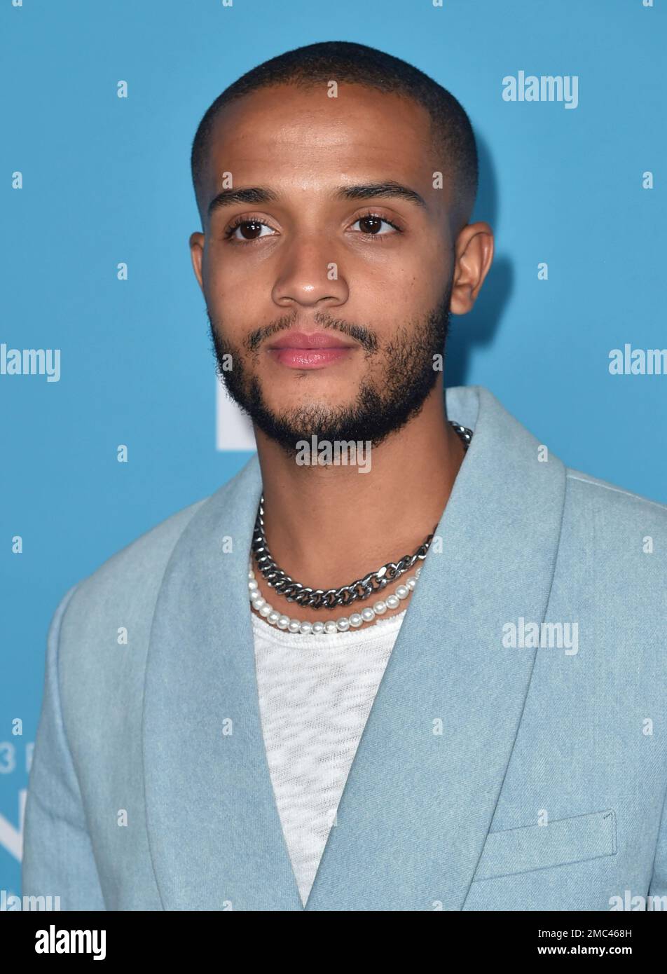 Nic Ashe arrives at the 53rd NAACP Image Awards live show screening on ...