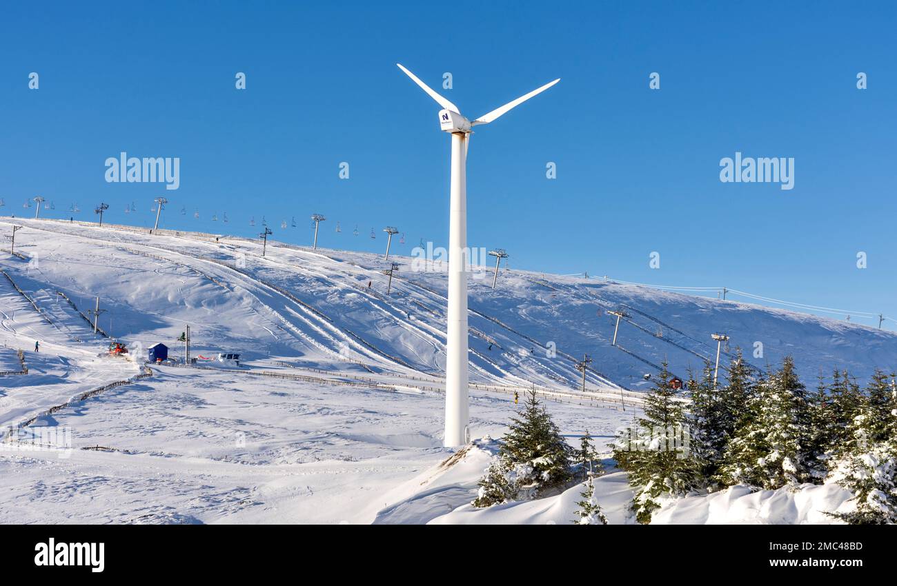 Lecht Ski Centre Cairngorms National Park Scotland the Snowy Owl and ...