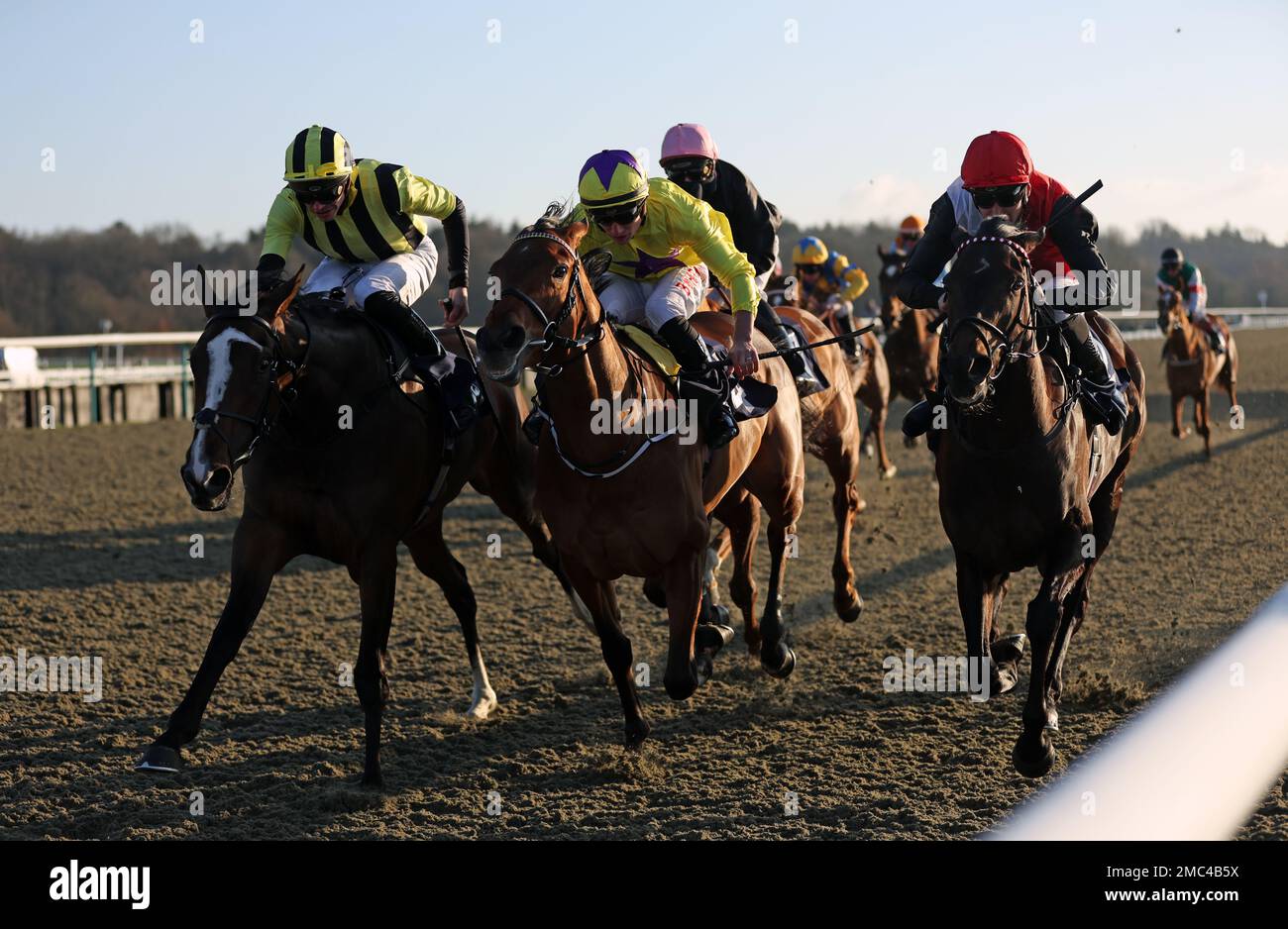Lingfield racecourse 2023 hi-res stock photography and images - Alamy
