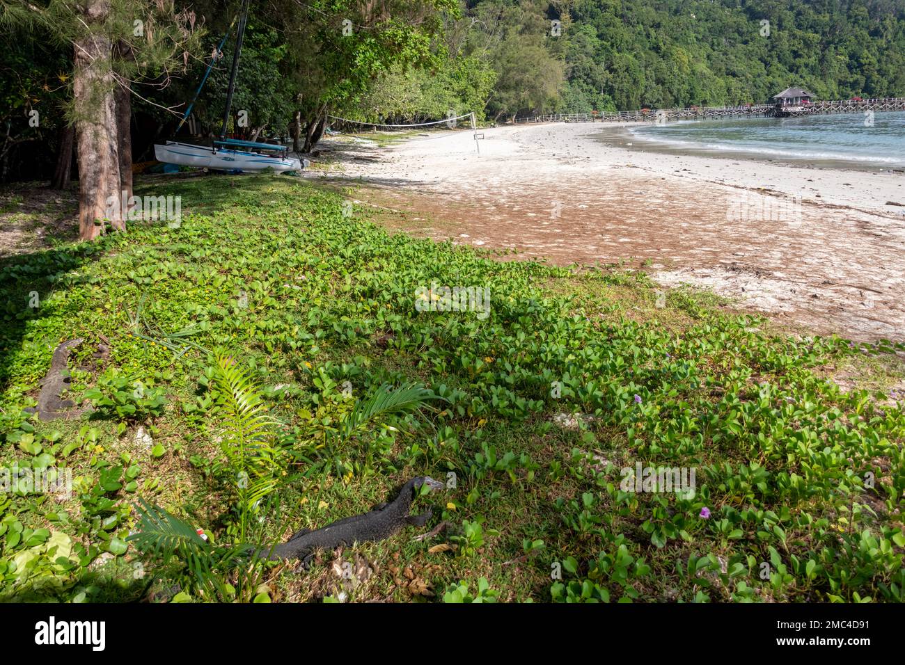 The Beach at Bungaraya Resort, Gaya Island, Kota Kinabalu, Borneo Stock ...
