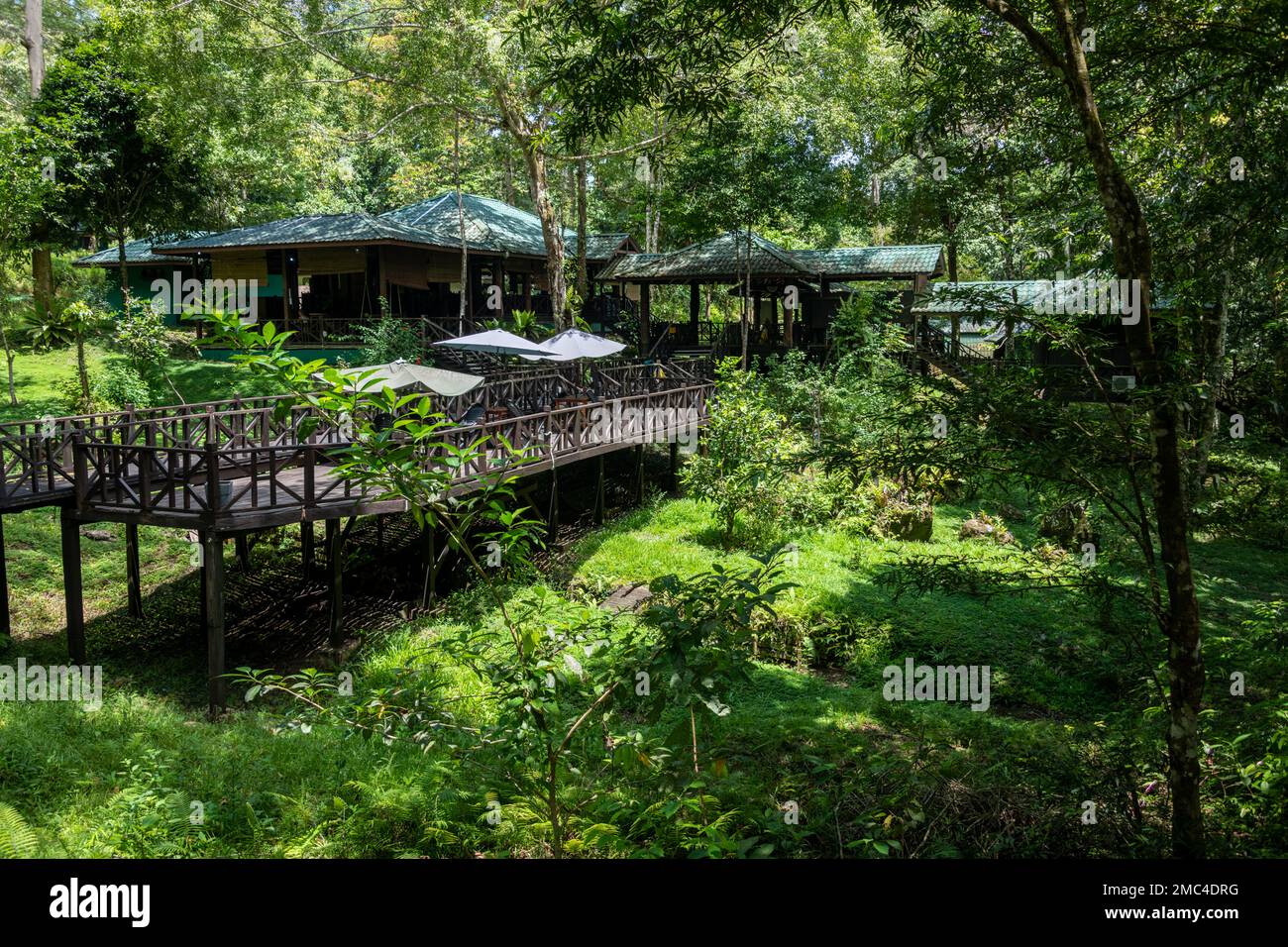 Tablin Wildlife Lodge in Tabin National Park, Borneo Stock Photo - Alamy