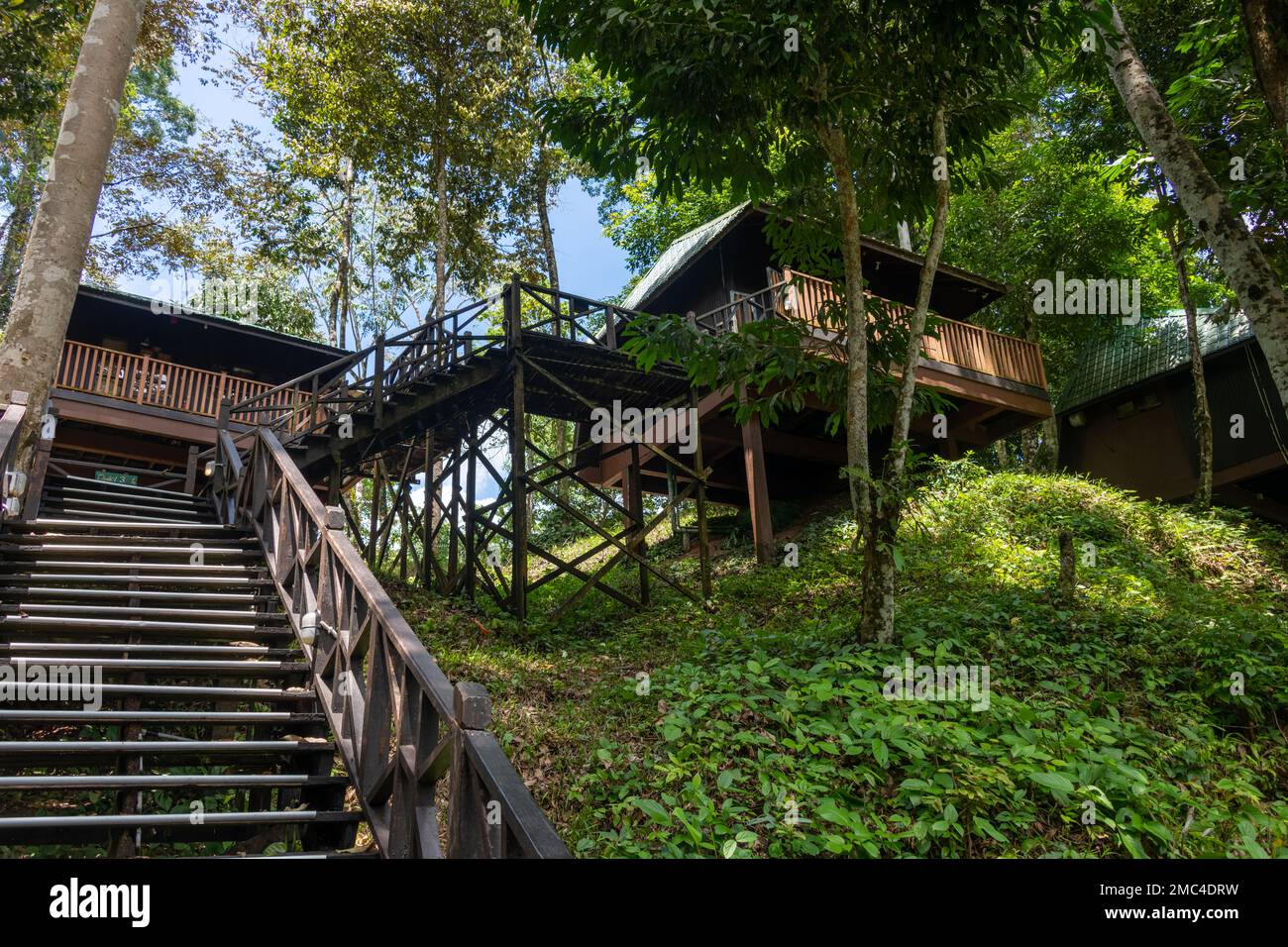 Tablin Wildlife Lodge in Tabin National Park, Borneo Stock Photo - Alamy