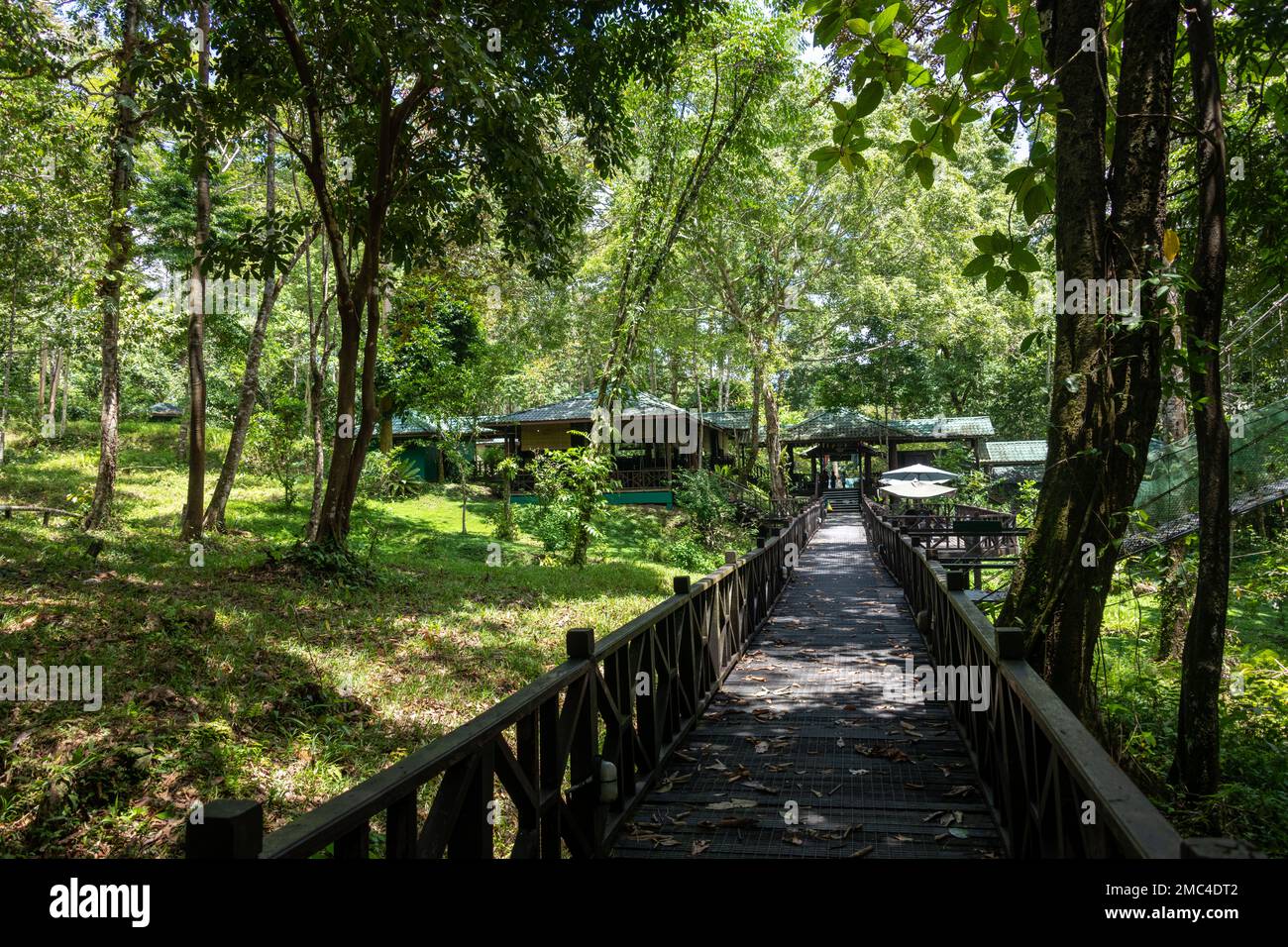 Tablin Wildlife Lodge in Tabin National Park, Borneo Stock Photo - Alamy