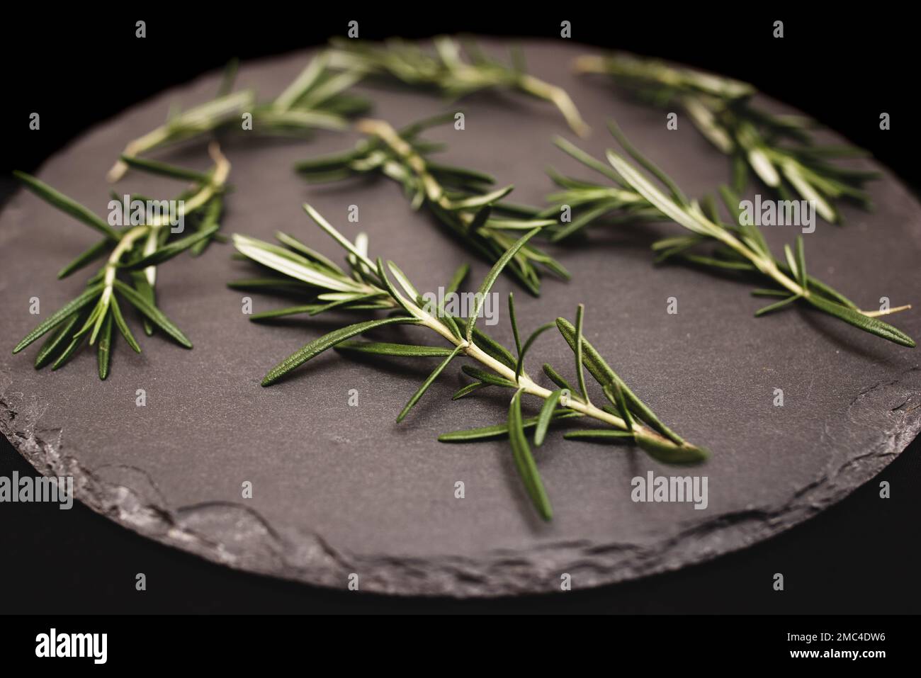 Rosemary herb on a gray stone board in a round shape on a black ...