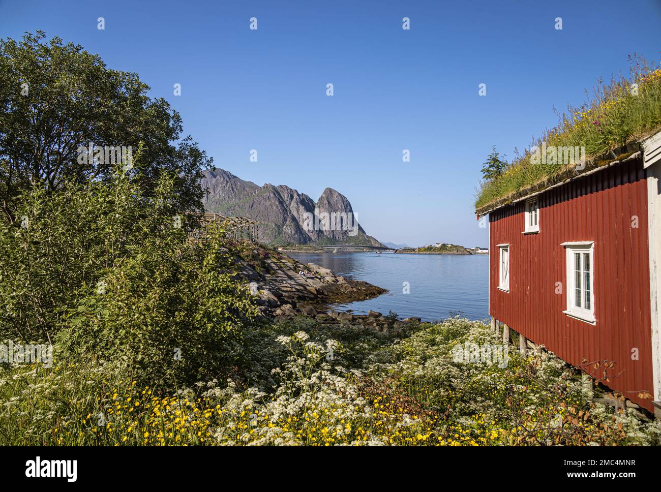 Traditional grass roofed house by a fjord in Reine, Moskenesøya ...