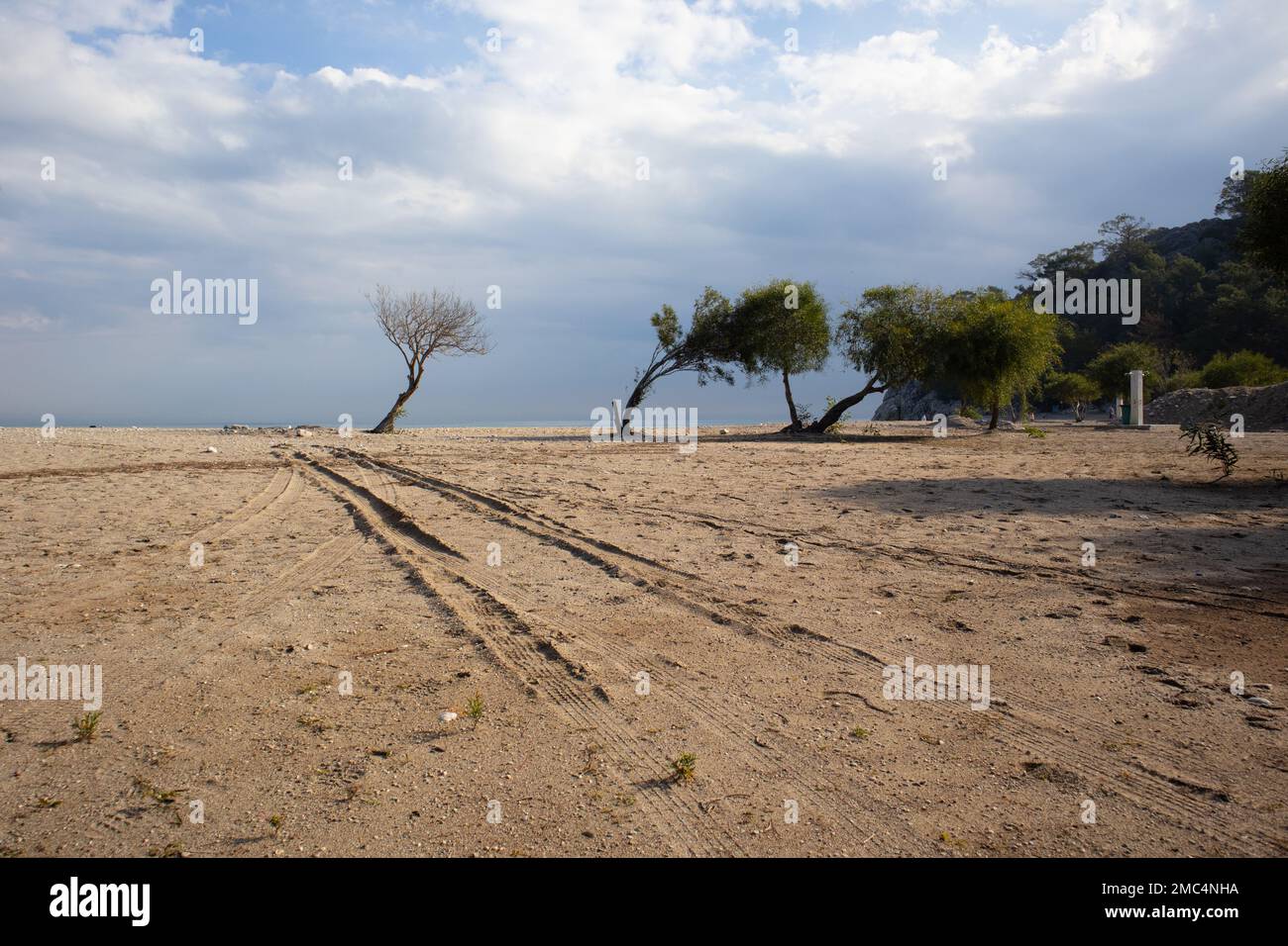 Tracks from the wheels of a car on a sandy beach Stock Photo - Alamy