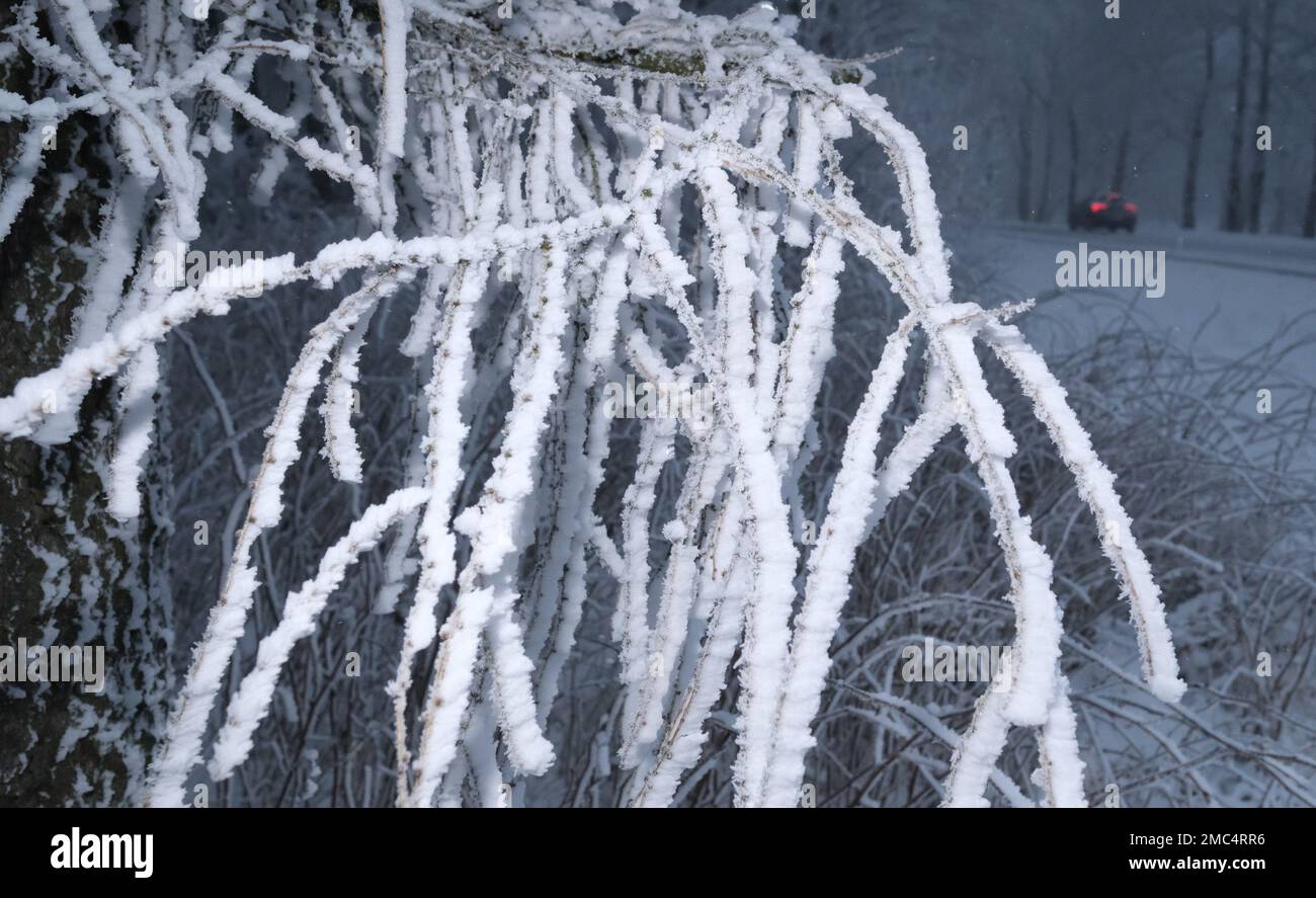 Sayda hi-res stock photography and images - Alamy