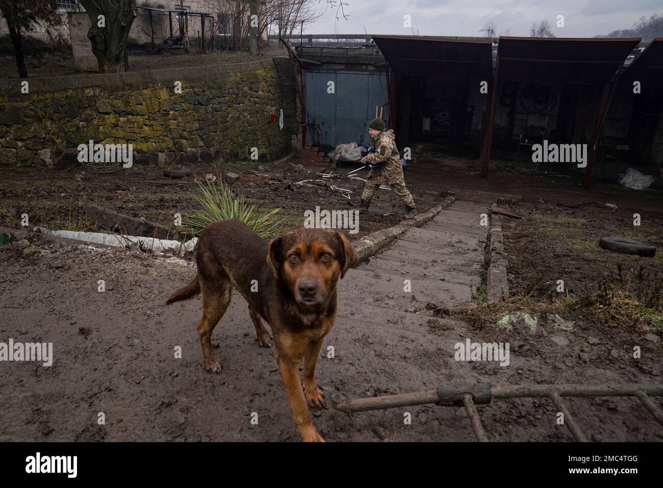 A dog is photographed near a damaged Ukrainian military facility, in ...