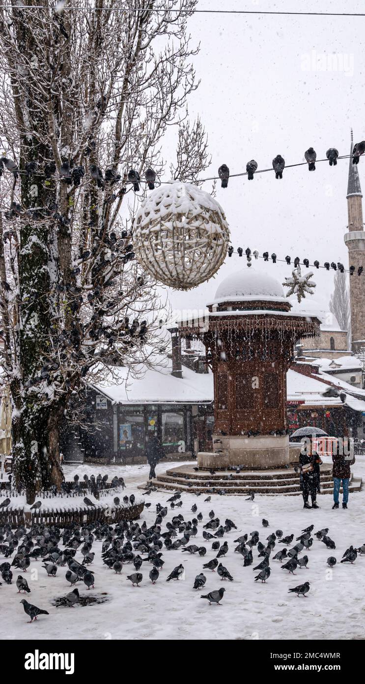 Sebilj under first snow of the year Stock Photo - Alamy