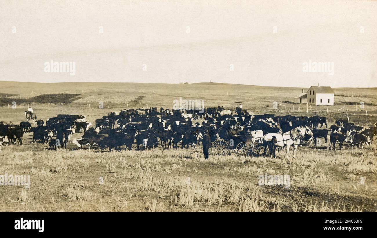 Family ranch old photo hi-res stock photography and images - Alamy