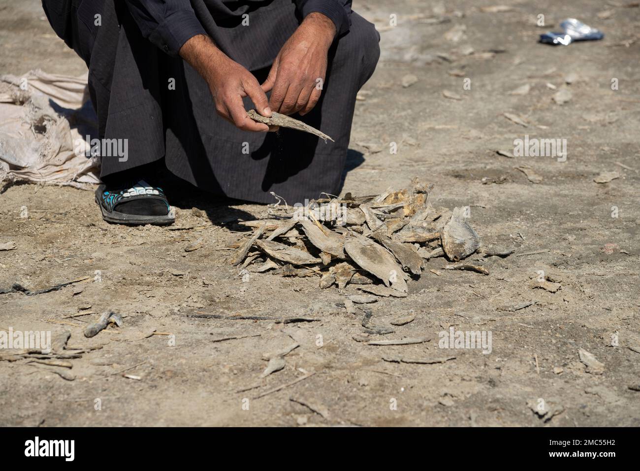 An Iraqi fisherman collects dead fish near Razzaza Lake, also known as ...