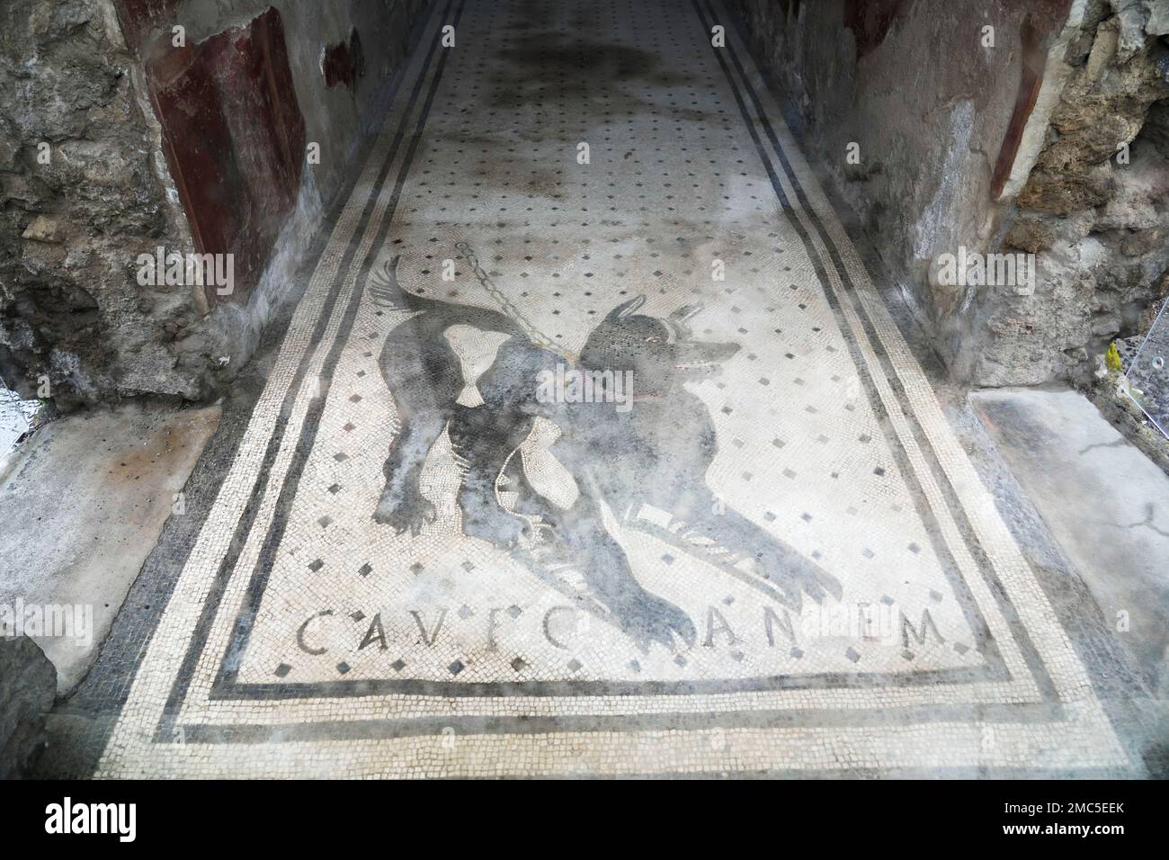 A black and white floor mosaic shows the image of a guard dog and a ...