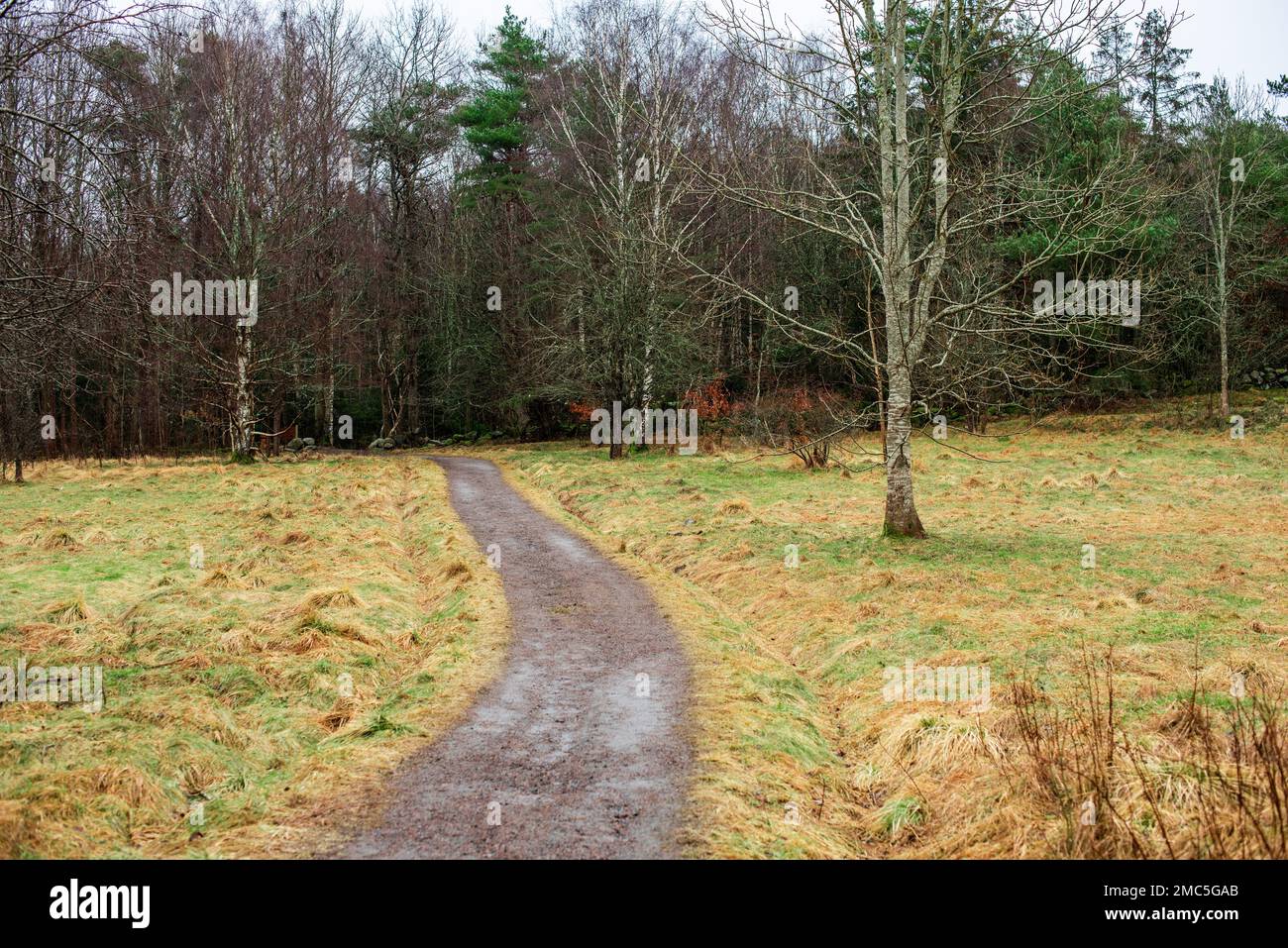 Man walking footpath by spring field hi-res stock photography and ...