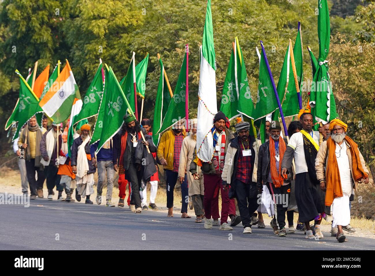 Muslim devotees carrying religious flags walk along a road as they ...