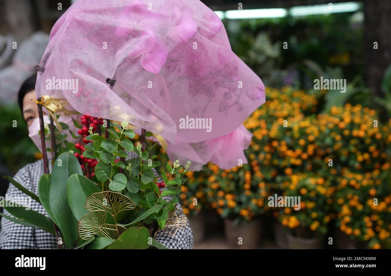 People shopping ORCHIDS in the Flower Market at Prince Edward, while ...