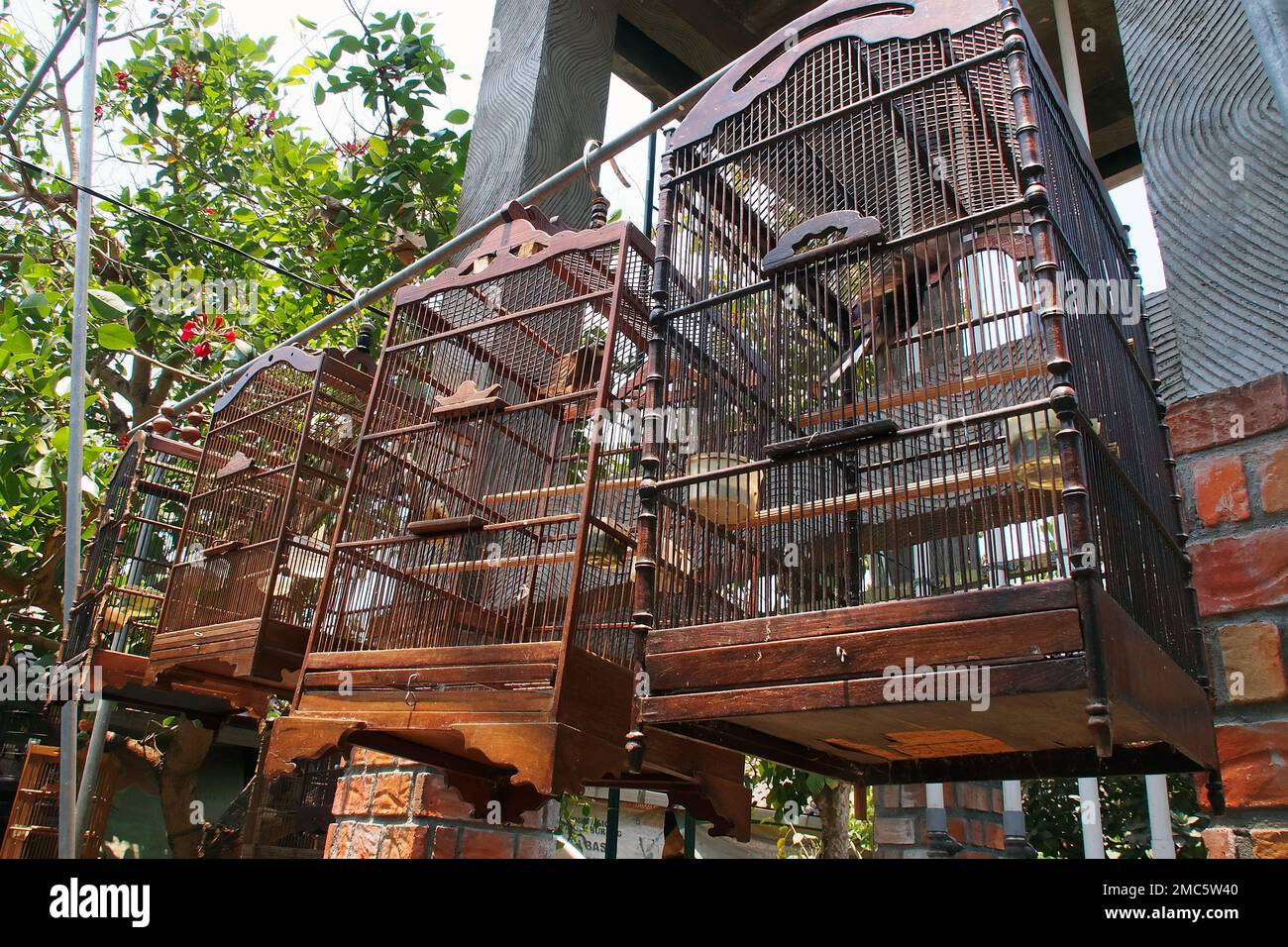 birds in cages, bird market, Yogyakarta, Java, Indonesia Stock Photo ...