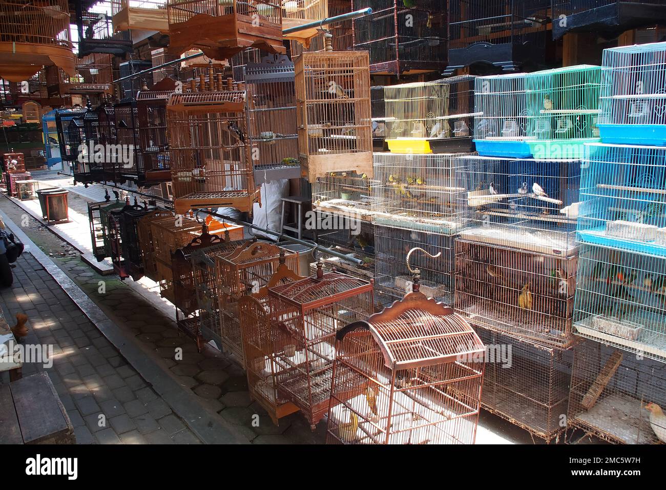 birds in cages, bird market, Yogyakarta, Java, Indonesia Stock Photo - Alamy