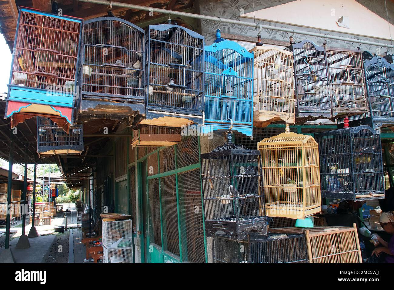 birds in cages, bird market, Yogyakarta, Java, Indonesia Stock Photo - Alamy