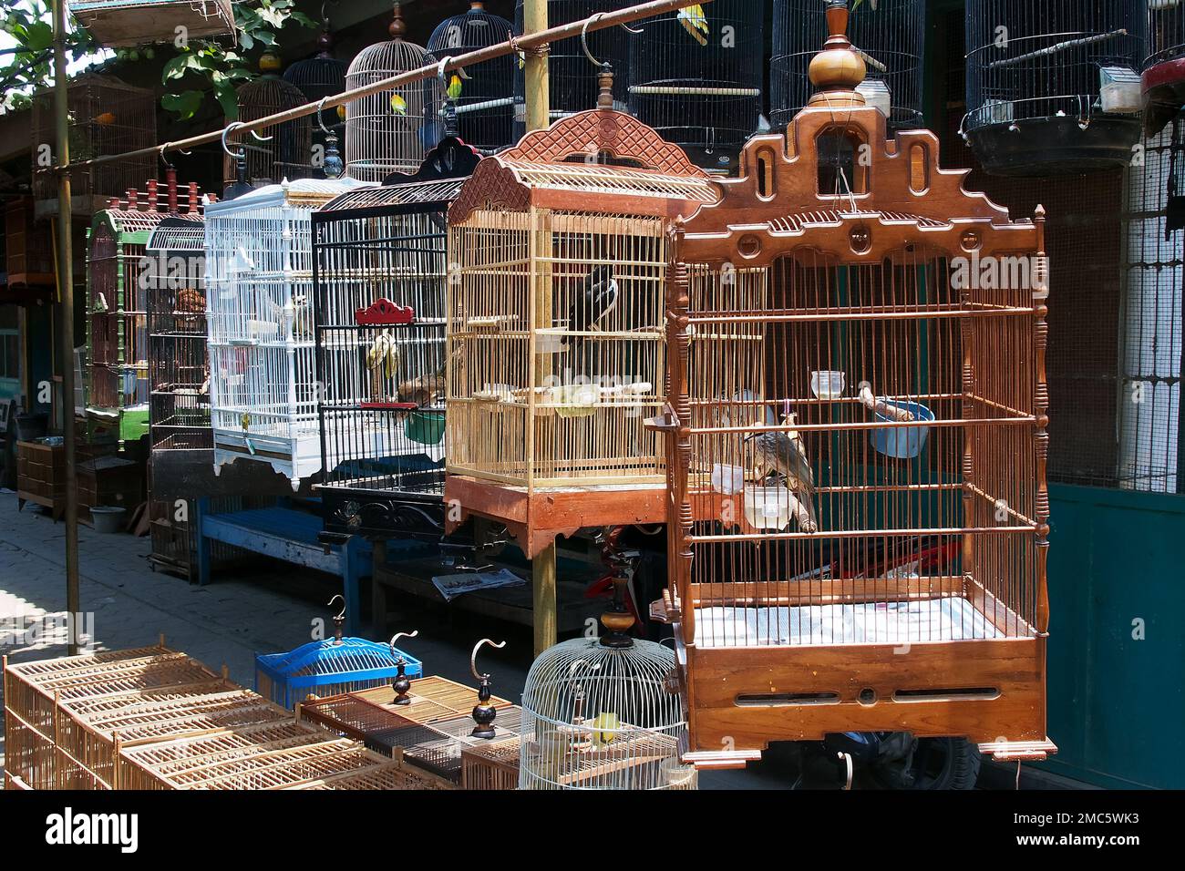 birds in cages, bird market, Yogyakarta, Java, Indonesia Stock Photo ...