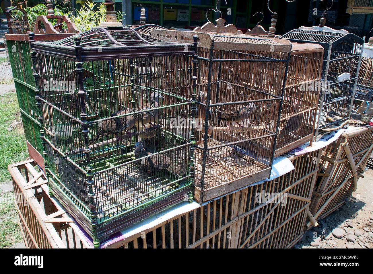 birds in cages, bird market, Yogyakarta, Java, Indonesia Stock Photo ...