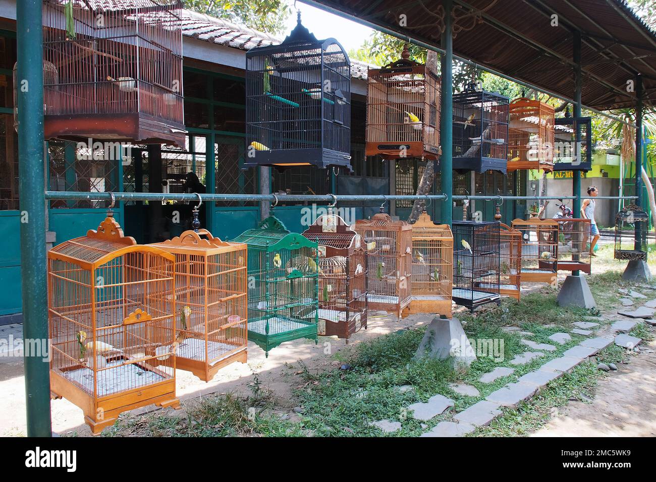 birds in cages, bird market, Yogyakarta, Java, Indonesia Stock Photo ...