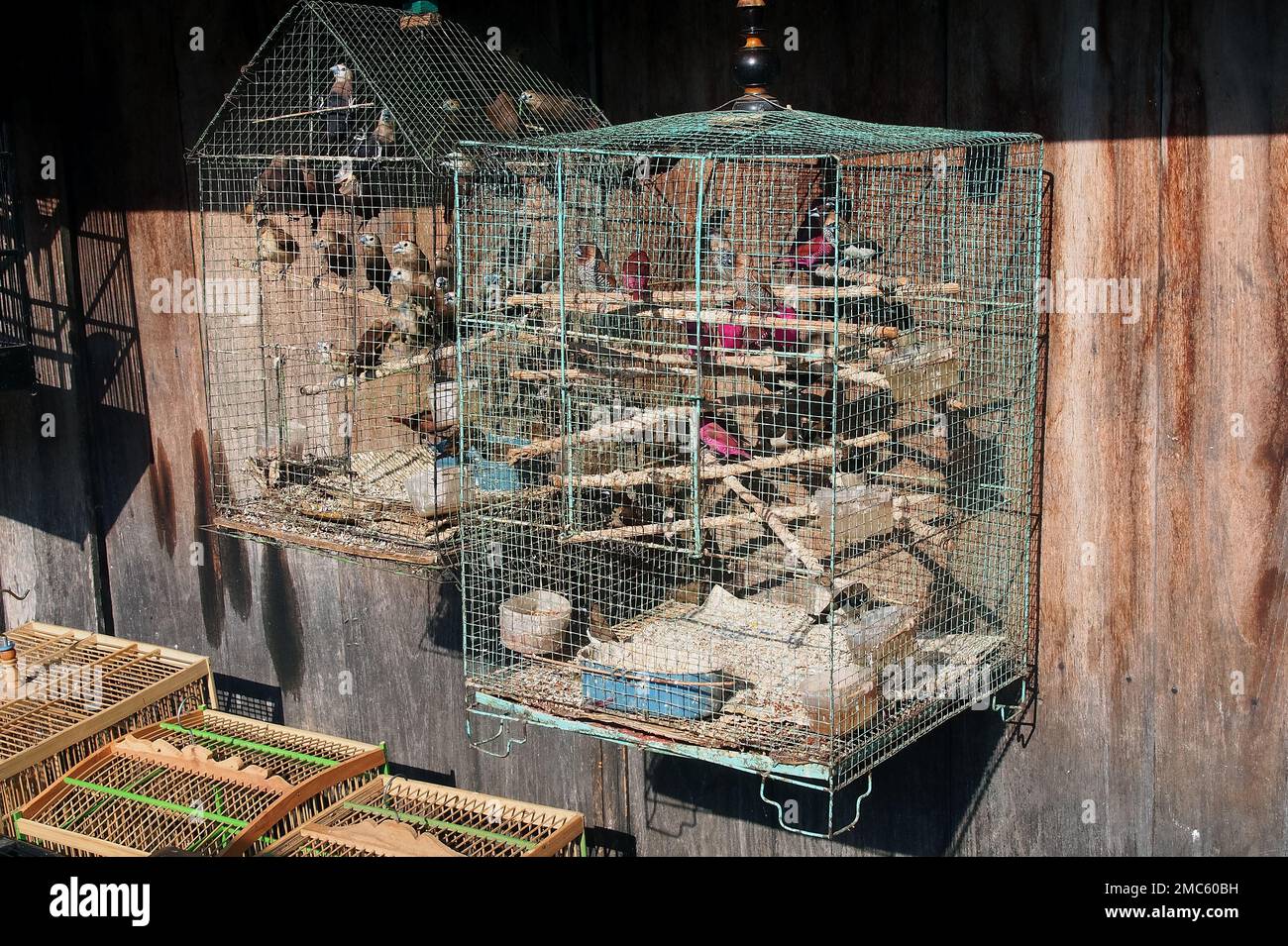 Yogya istimewa hi-res stock photography and images - Alamy