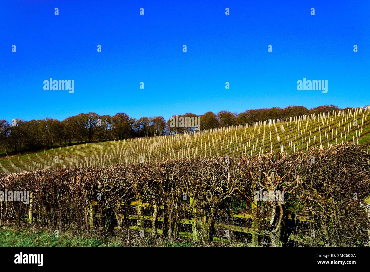 Dry chalk valleys in england hi-res stock photography and images - Alamy