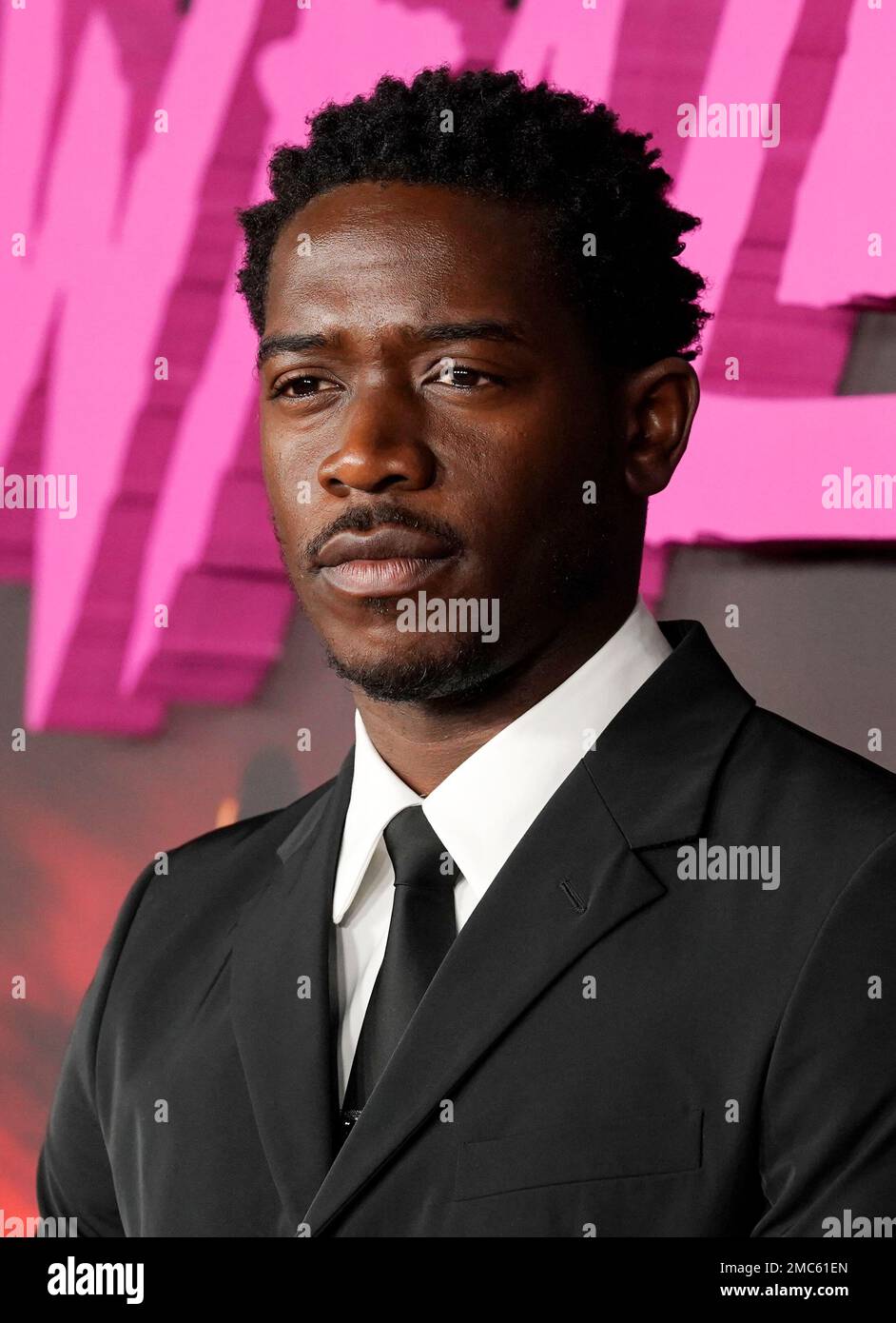 Damson Idris, star of "Snowfall," poses at the season five premiere of ...