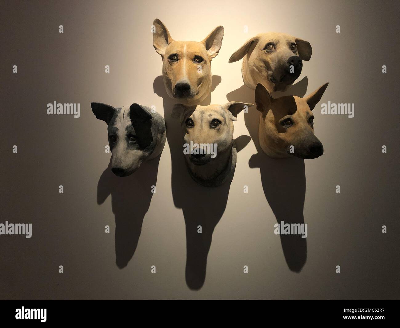 Philosophical Theater of Animals (2019), Araya Rasdjarmrearnsook. These ...