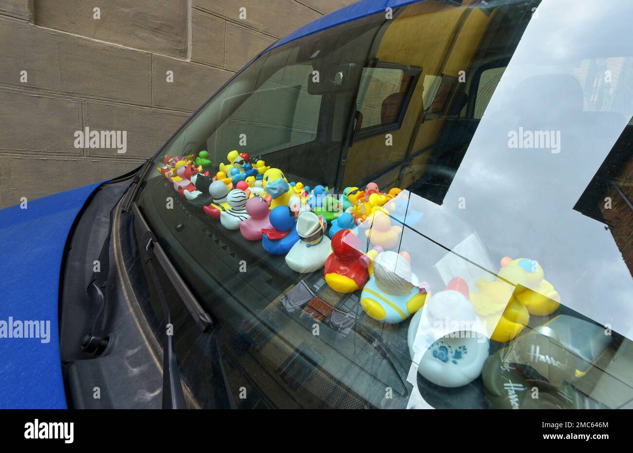 Cute ducks collection in the car in the Old town of Siena, Italy Stock ...