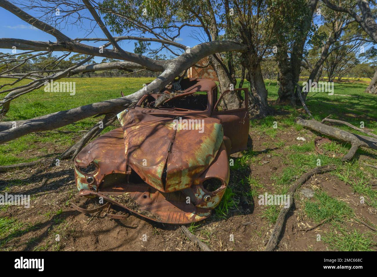 Car branch hi-res stock photography and images - Alamy