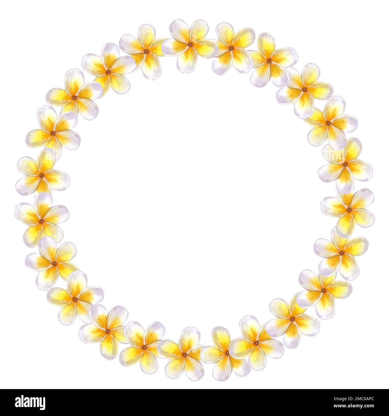Round frame made of plumeria frangipani garland. Exotic floral design ...
