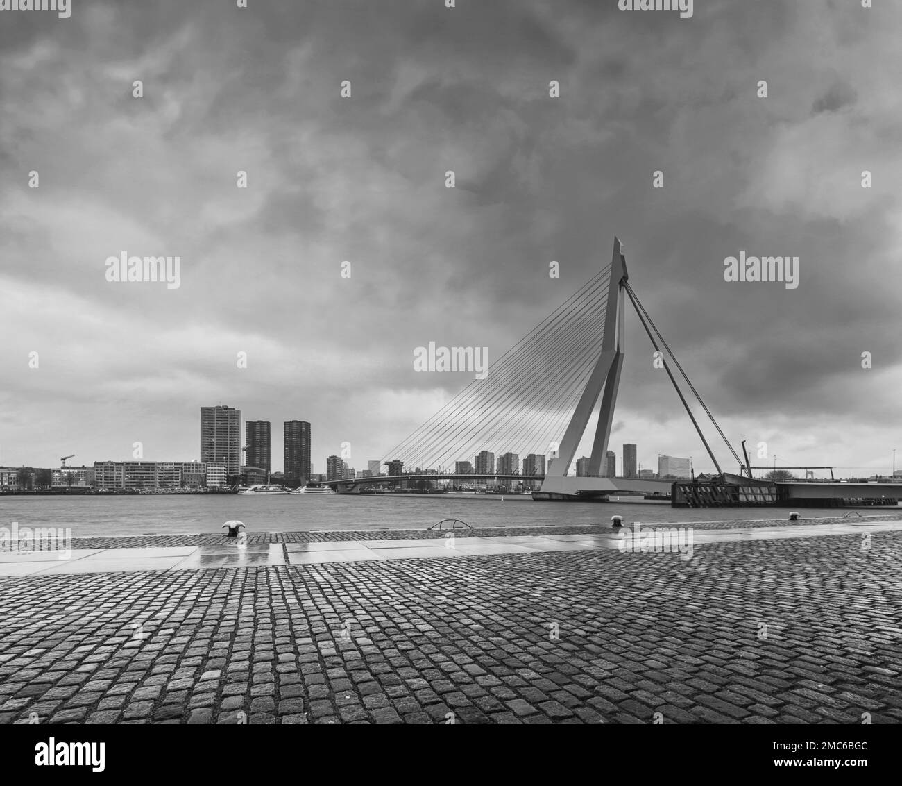 City Landscape, black-and-white - view on Erasmus Bridge on rainy ...