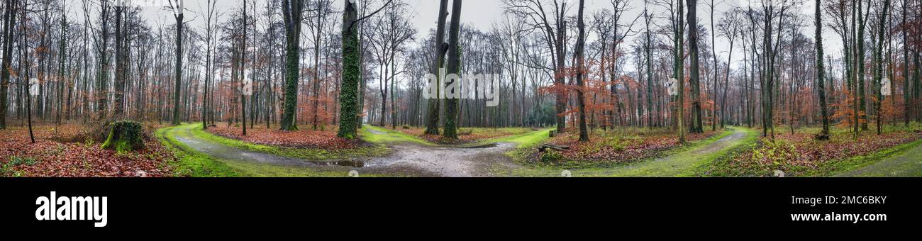 Natural landscape, panorama - park with trees and paths next to the ...