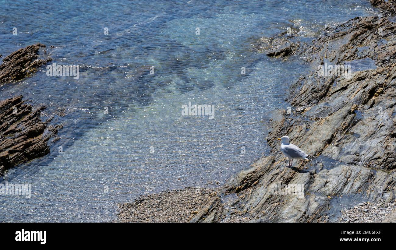 Stand alone hide hi-res stock photography and images - Alamy