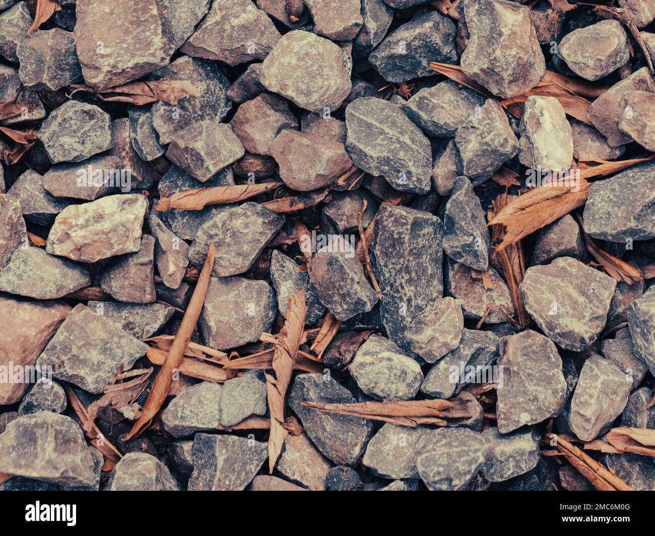 Pebble ground cover hi-res stock photography and images - Alamy