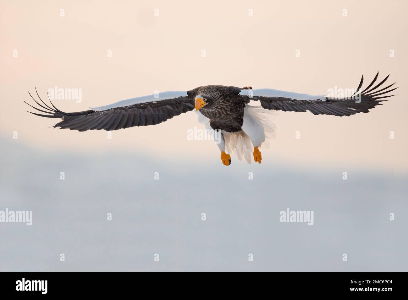 Nemuro strait hi-res stock photography and images - Alamy