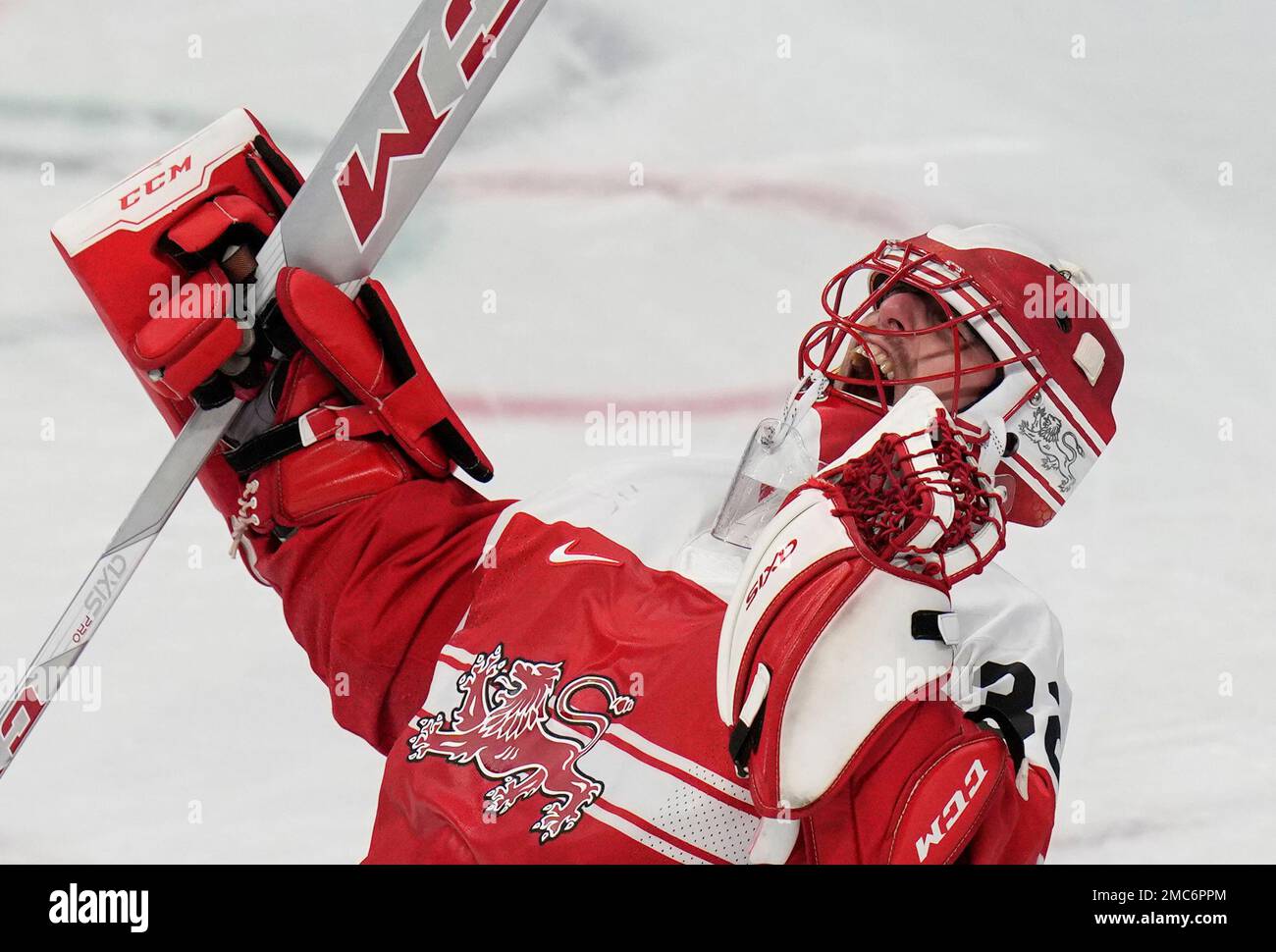 Denmark goalkeeper Sebastian Dahm (32) celebrates winning their men's ...