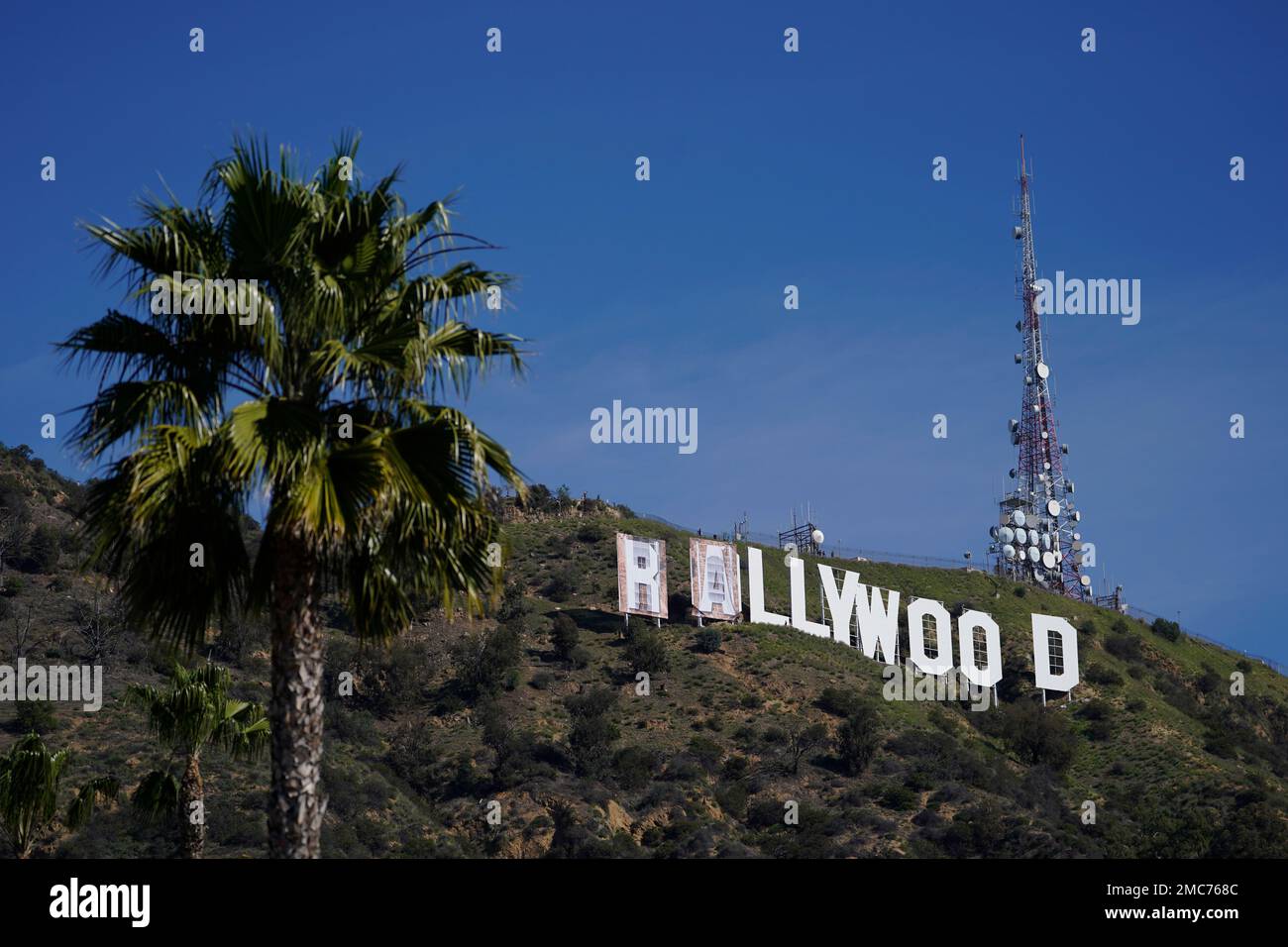 Workers transform the Hollywood sign to read "Rams House" in Los ...