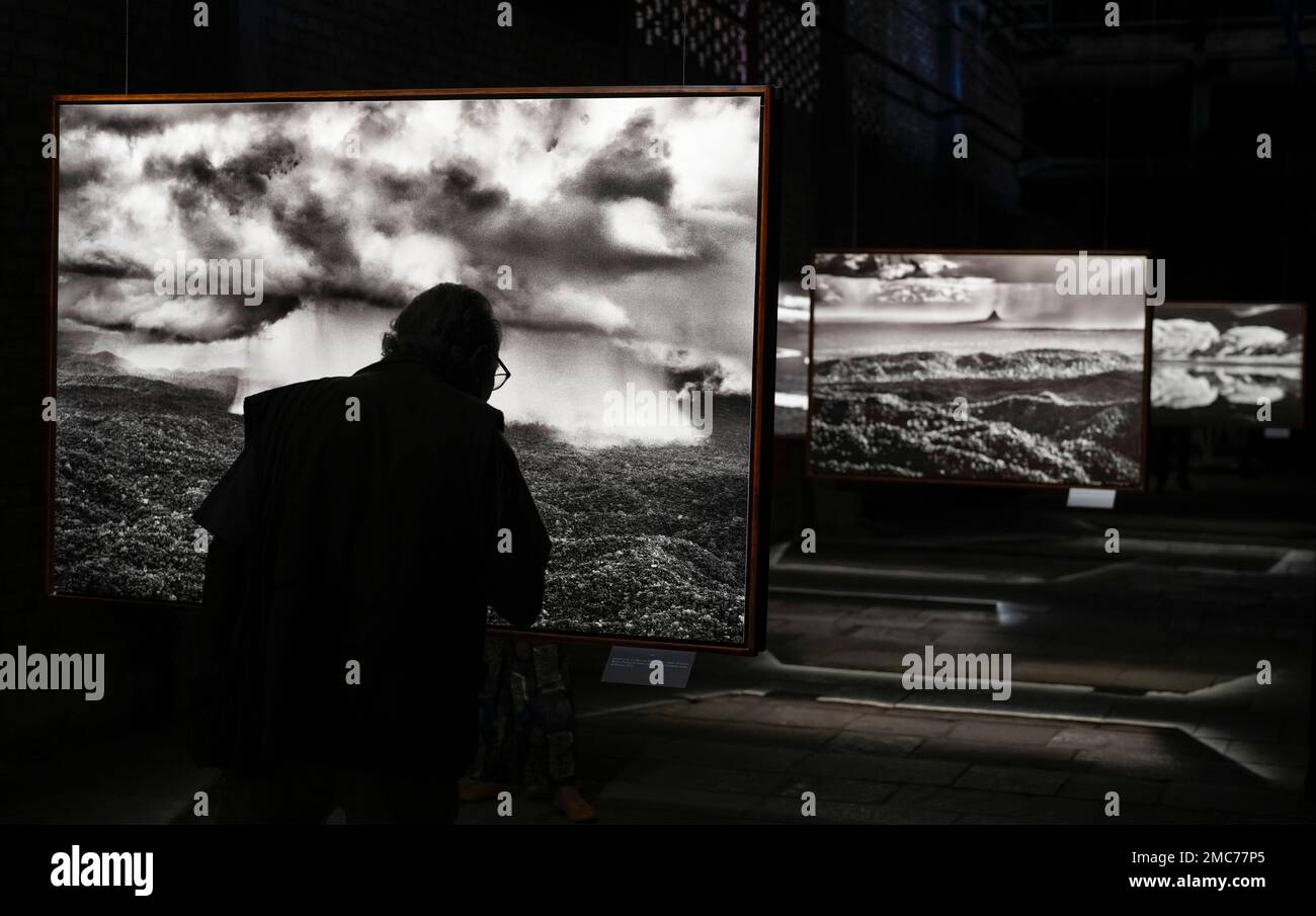 People look at the exhibition "Amazonia," about deforestation and ...