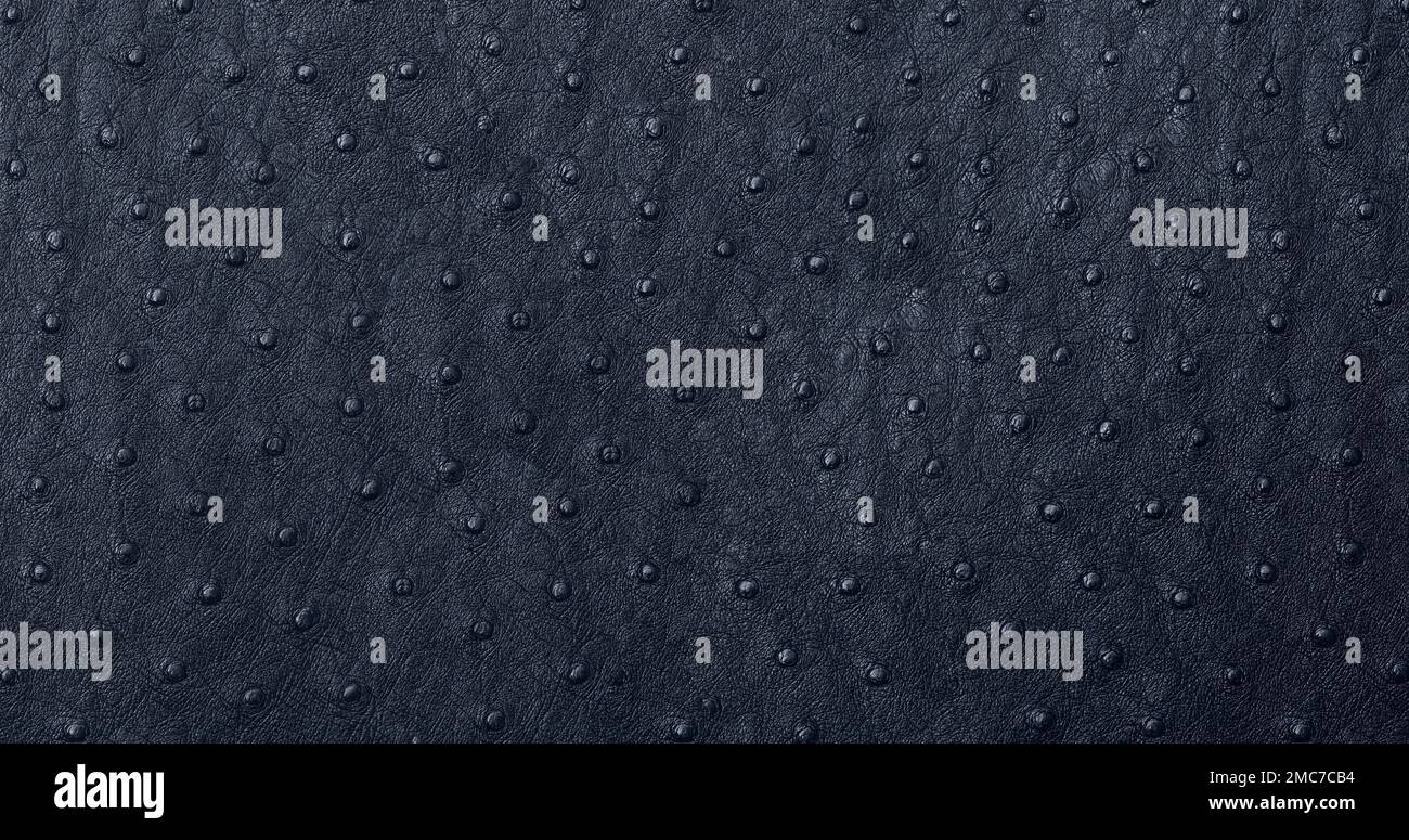 Texture of black genuine Ostrich Stamped leather close-up, matte ...
