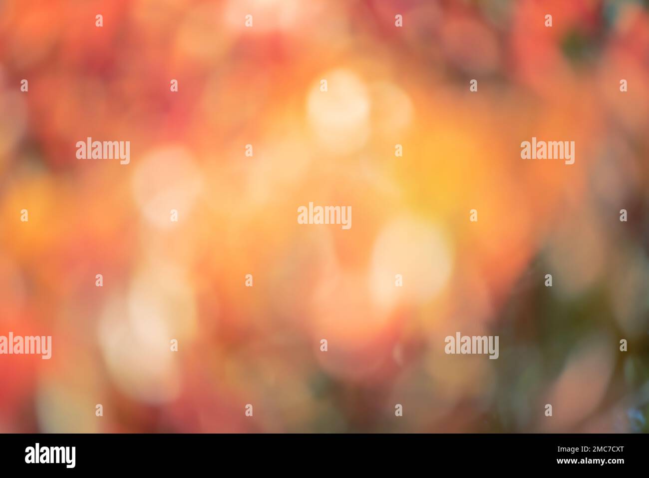Blurred background abstract red orange green white. Defocus light of ...