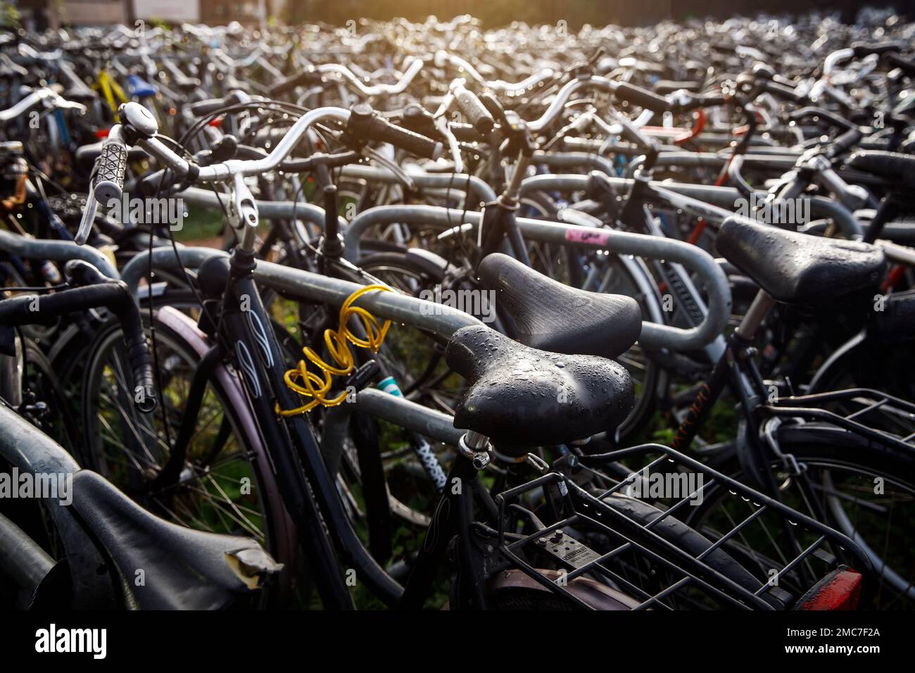 Many bicycles ride on amsterdam hi-res stock photography and images - Alamy