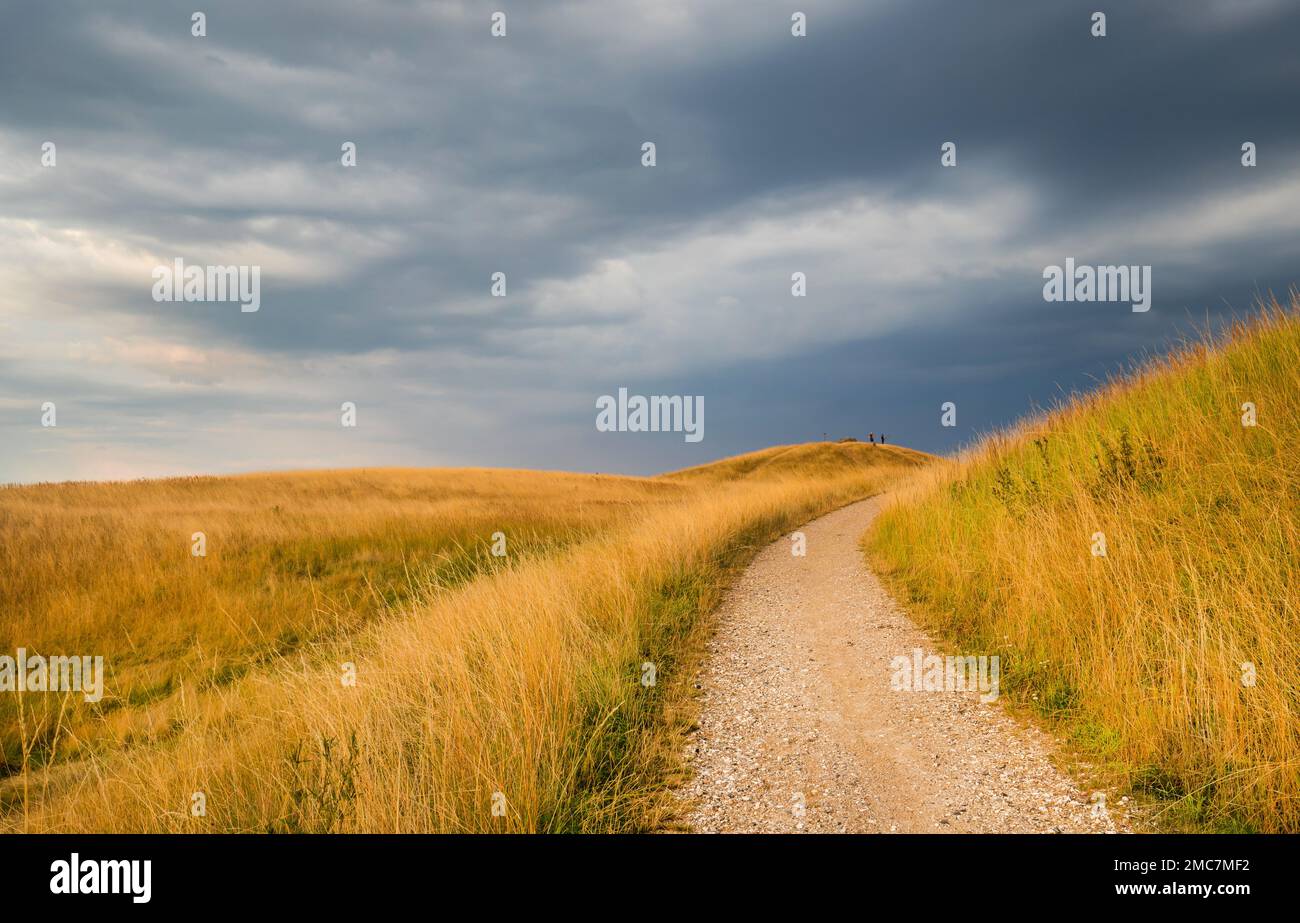 Herstedhoje Nature Center in Albertslund of Denmark Stock Photo - Alamy