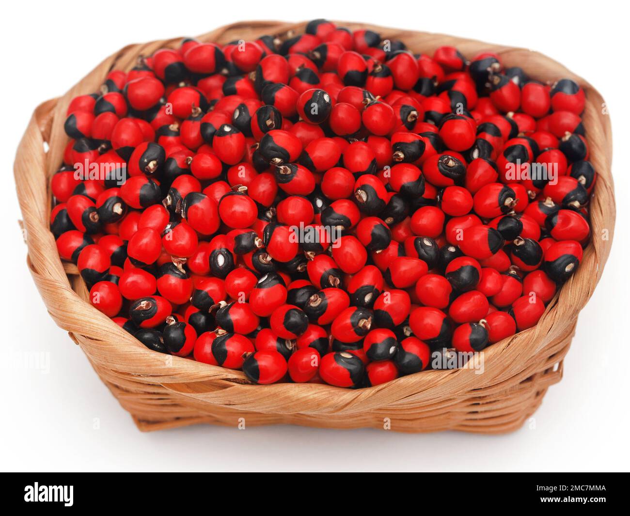 Abrus precatorius or Indian liquorice Seeds over white background Stock ...