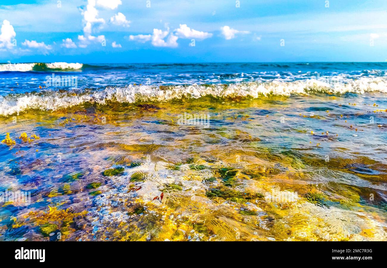 Stones rocks and corals in turquoise green and blue water on the beach ...